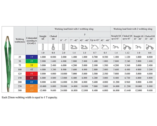 Nylon webbing sling , - TOPSUN LOGISTIC CONTROL